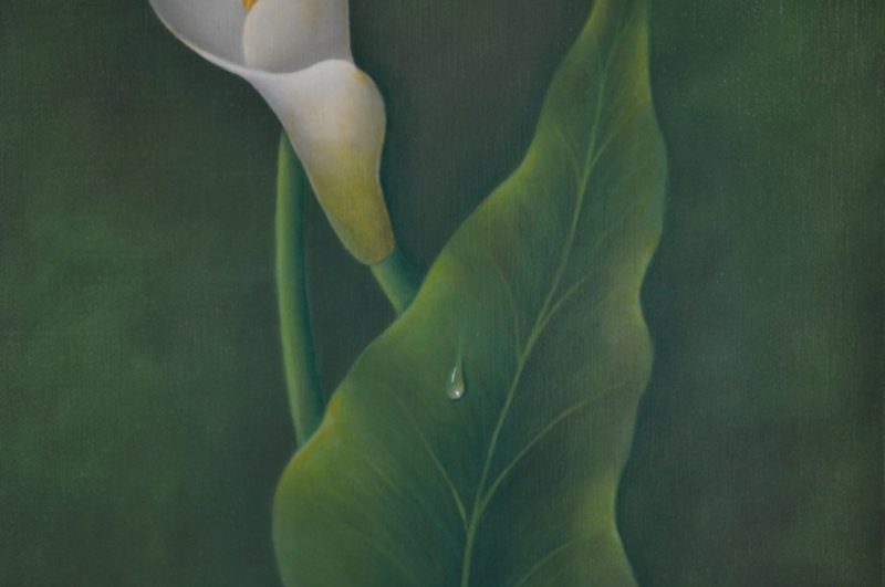 Two Calla Lilies | Margo Munday Fine Art | Classical and Contemporary ...