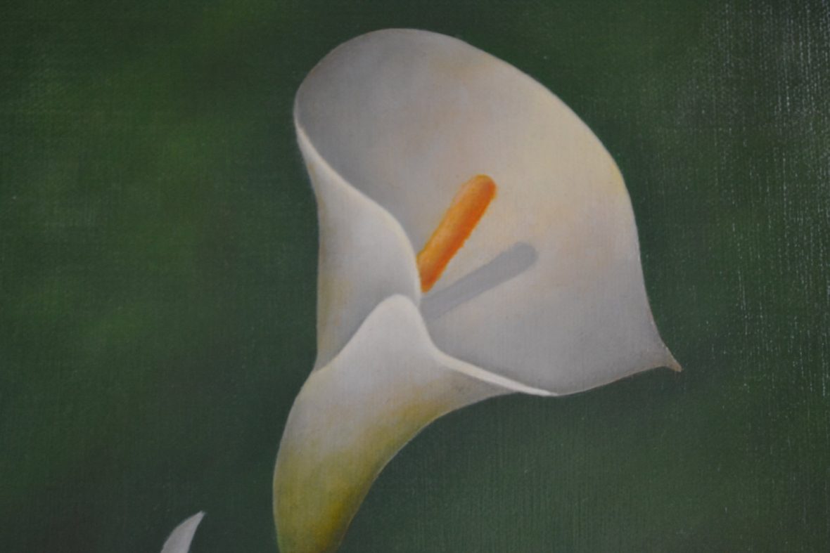 Two Calla Lilies | Margo Munday Fine Art | Classical and Contemporary ...