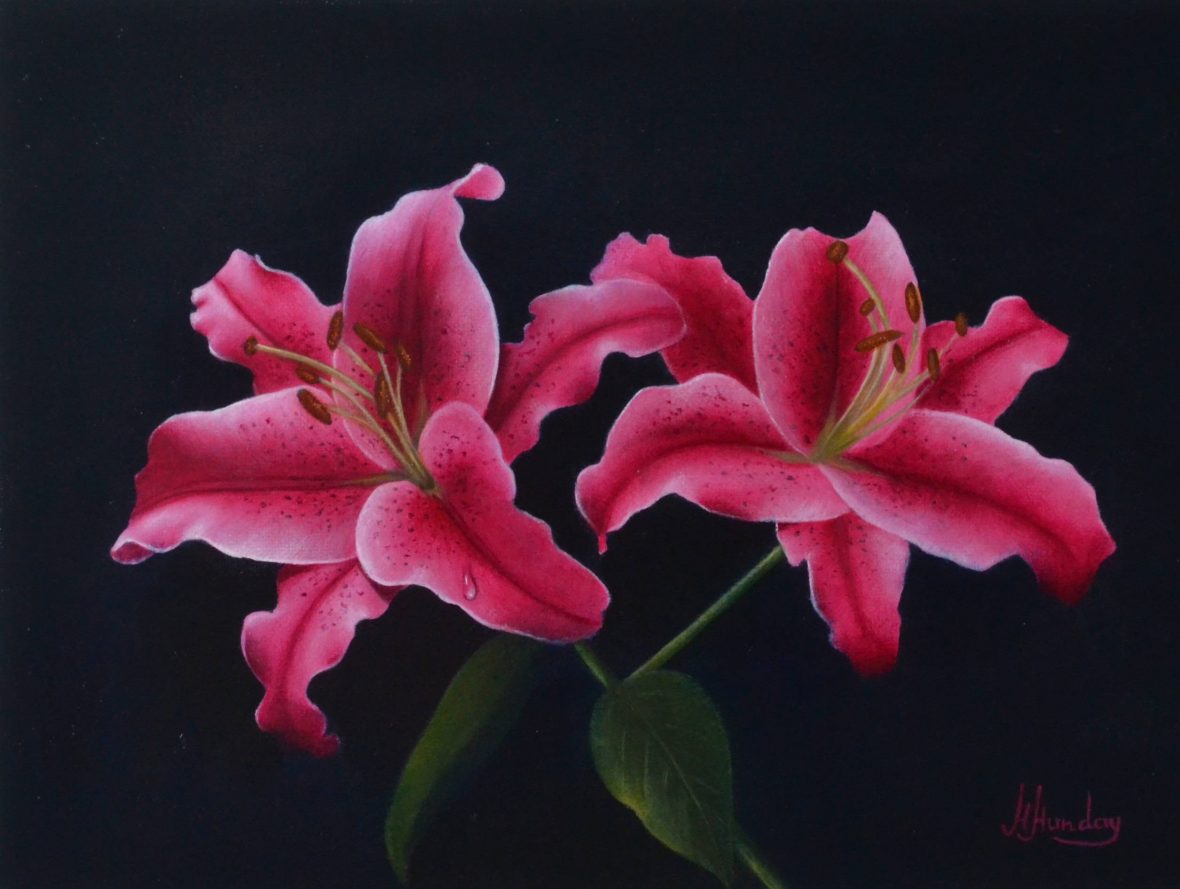 Stargazer lilies | Margo Munday Fine Art | Classical and Contemporary ...